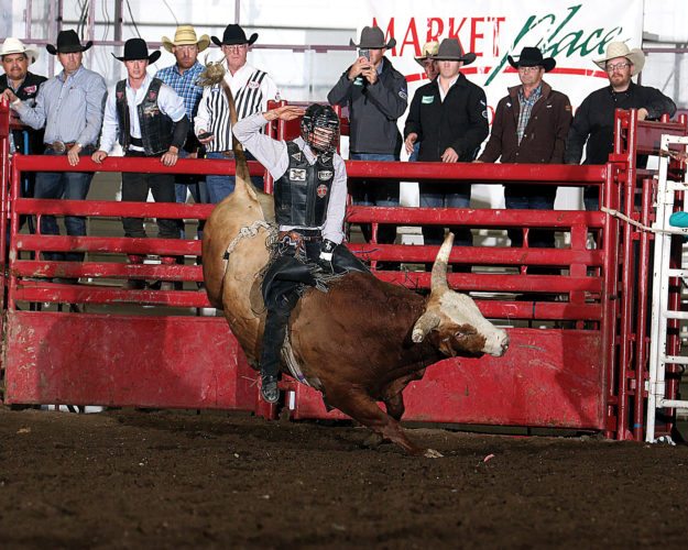 Champions determined on final night of Minot Rodeo | News, Sports, Jobs ...